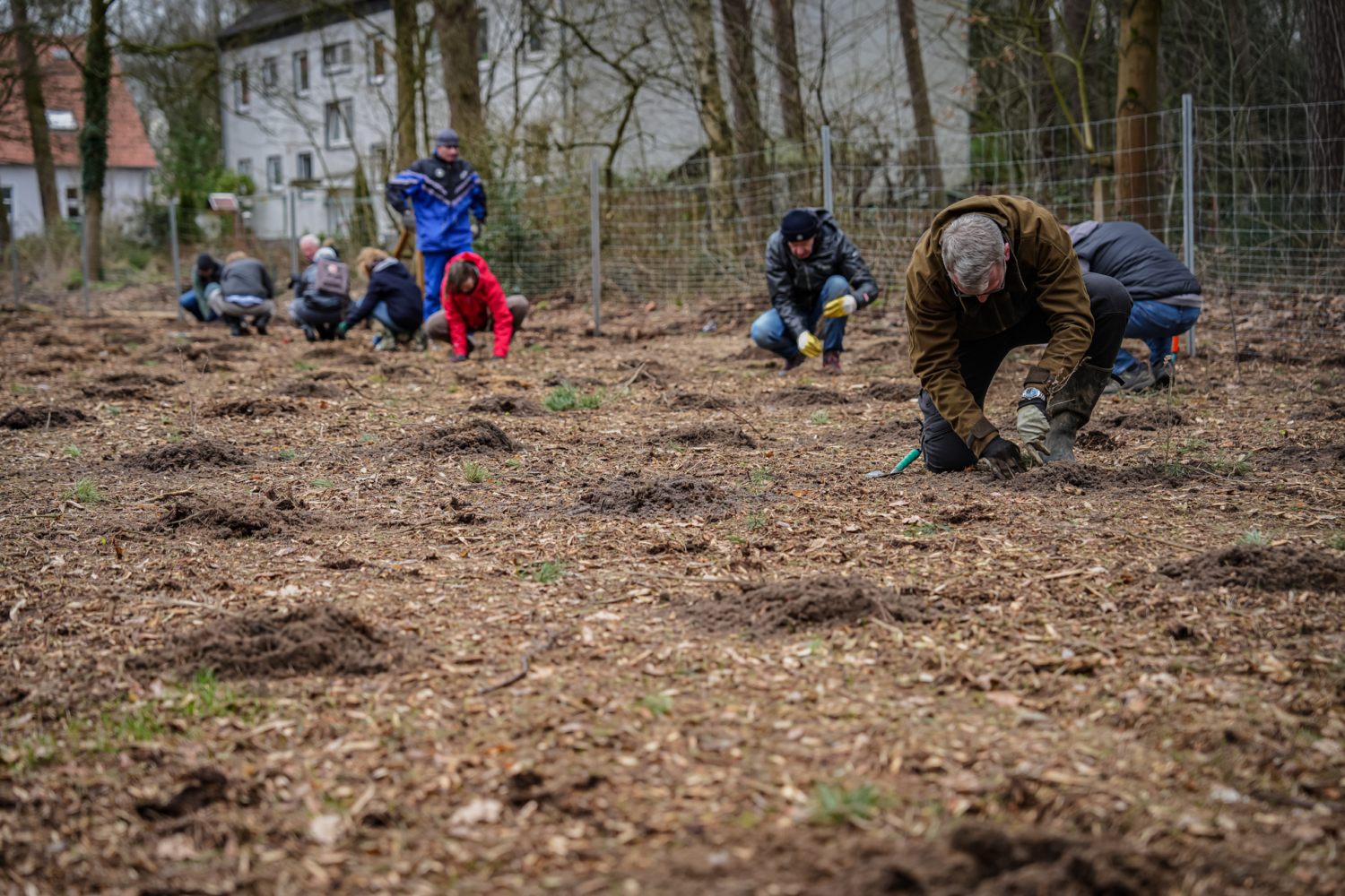 KlimaWoche-Bielefeld | Pflanzaktion Baum | Bäume für Bielefeld